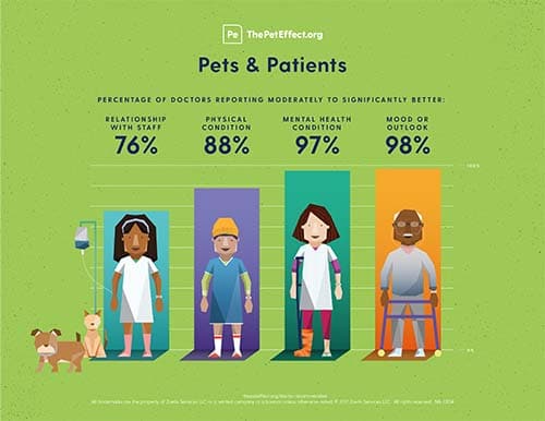 Child Development Research - CuriOdyssey