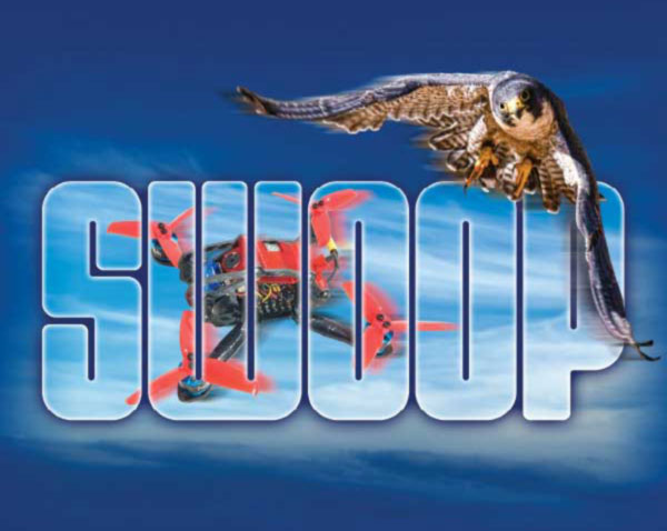 SWOOP! Drone Racing and Raptors in Flight - CuriOdyssey