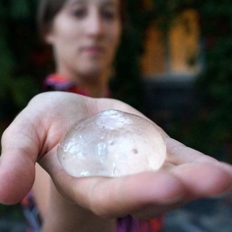 Make Edible Water Bottles - CuriOdyssey