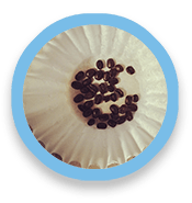 Learning About Chromatography - CuriOdyssey