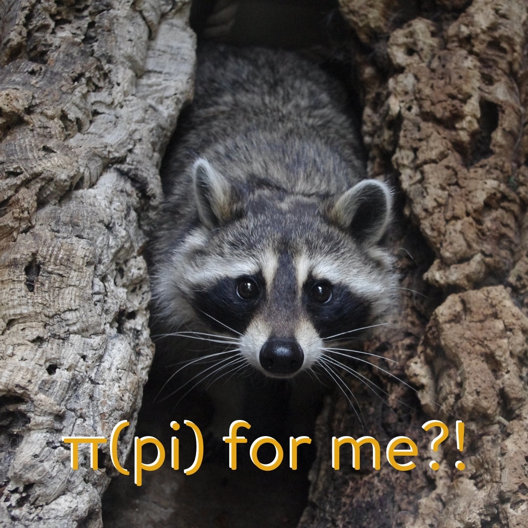 March Pi Donation Month 2019 - CuriOdyssey