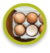 How to Do An Egg Dissection - CuriOdyssey