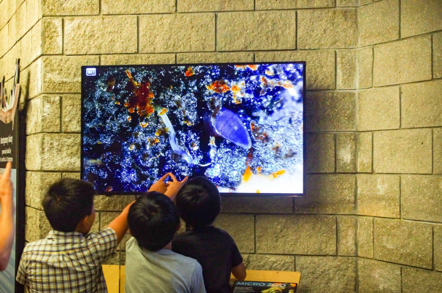 Get Started with Micro-Animals: A Better Way to Teach the Science ...