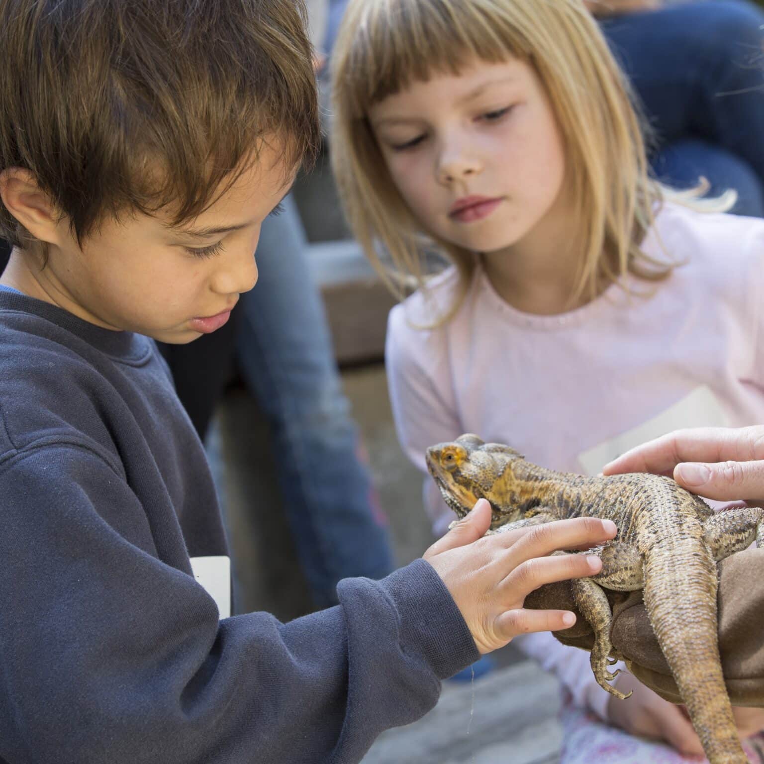 CuriOdyssey Gift Guide - CuriOdyssey