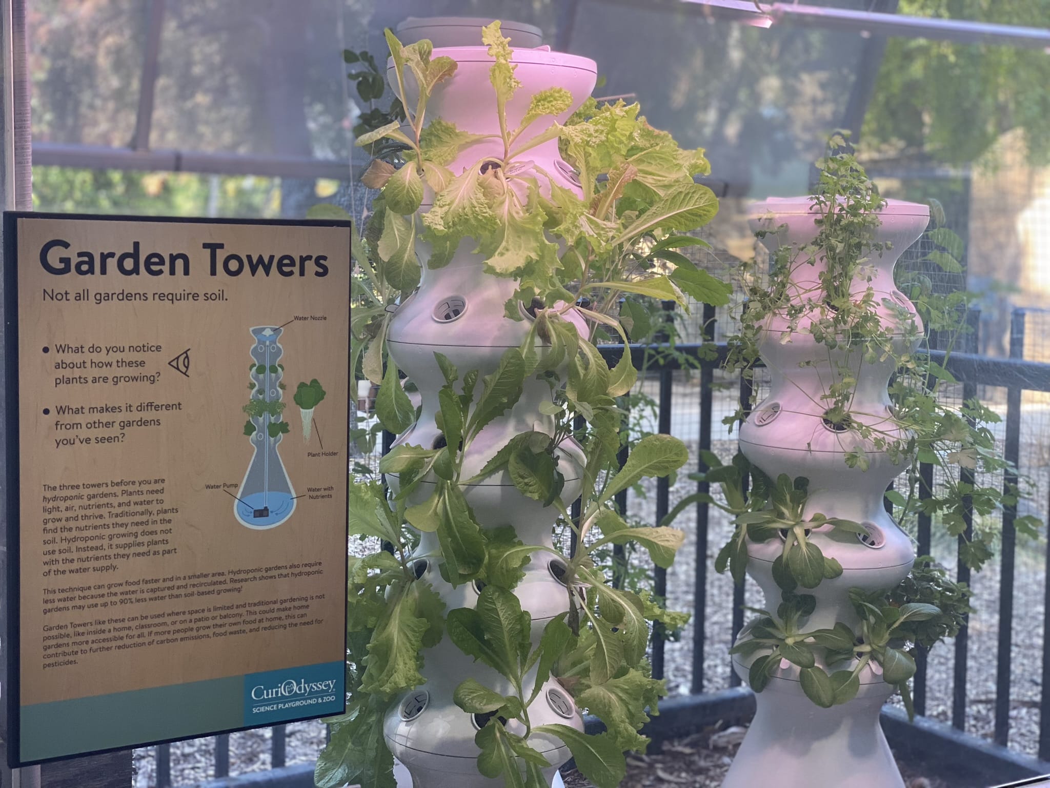 The Science of Garden Towers - CuriOdyssey