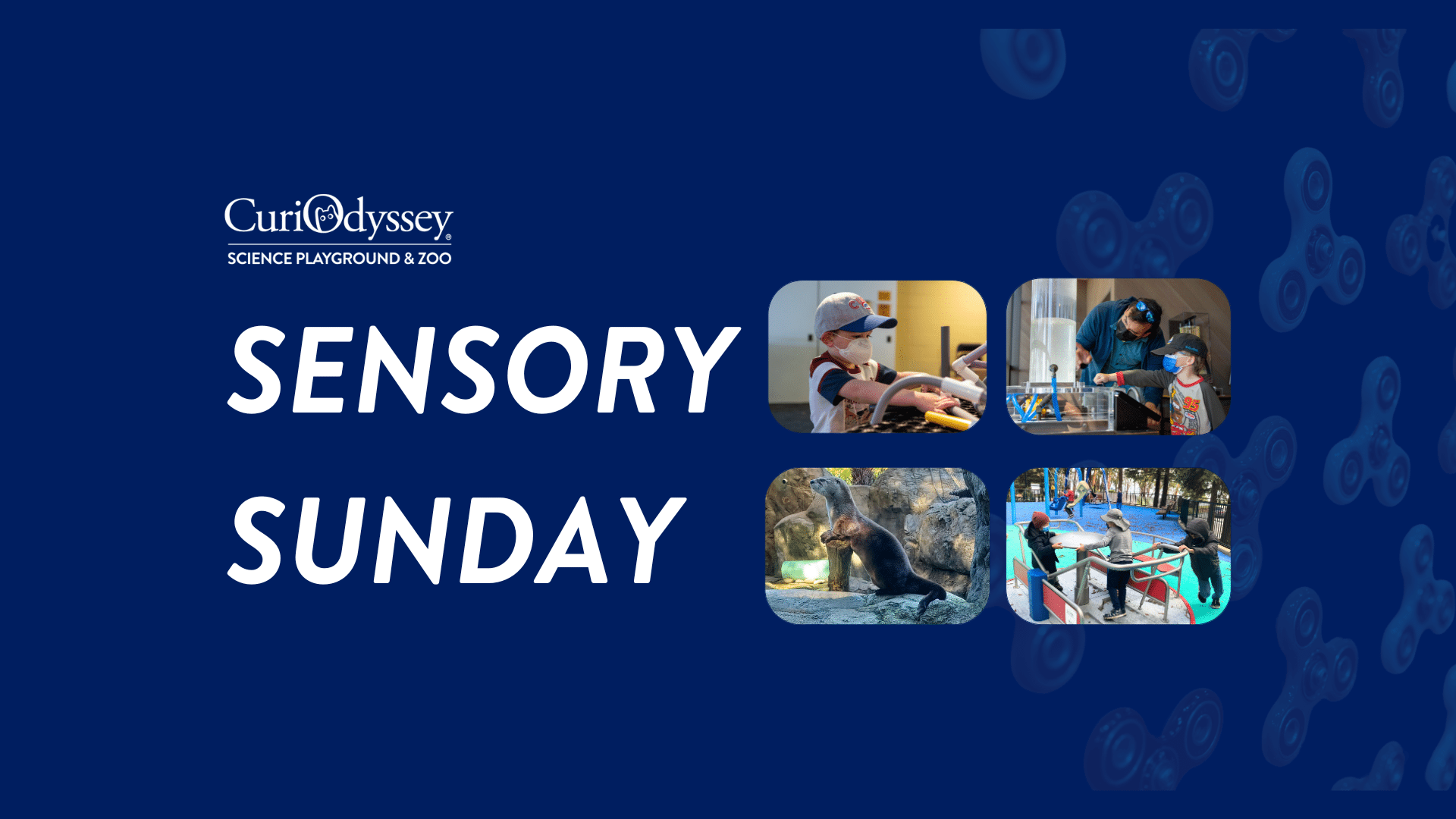 Exhibits & Events - CuriOdyssey